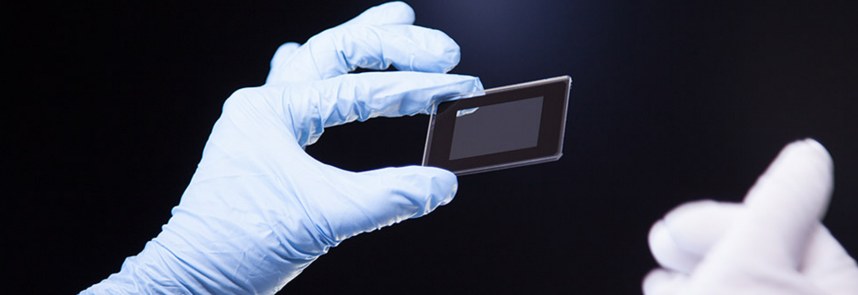 Premium Anti-Fingerprint Coated Glass for Smudge-Free Surfaces – New ...